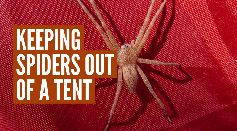How to Keep Spiders Out of Your Tent (7 Best Tips)