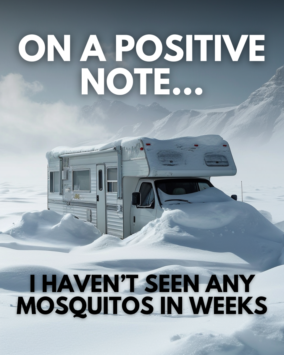 Funny RV Memes & Sayings Mega Compilation - Camper FAQs