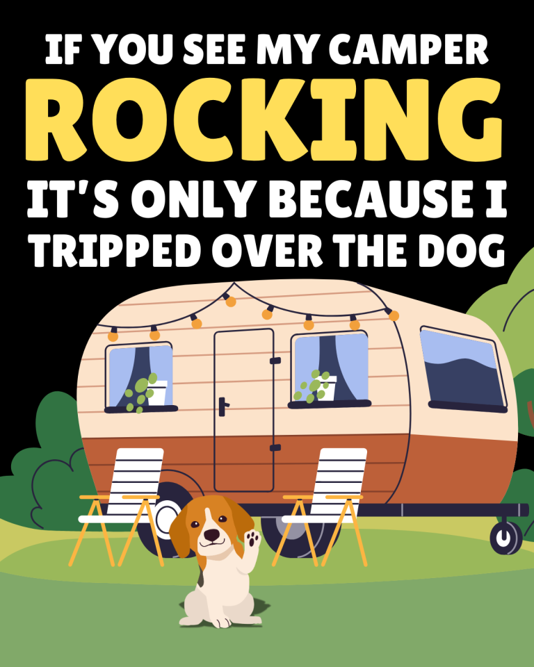 Funny RV Memes & Sayings Mega Compilation - Camper FAQs