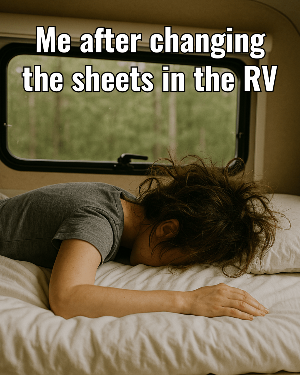 Funny RV Memes & Sayings Mega Compilation - Camper FAQs